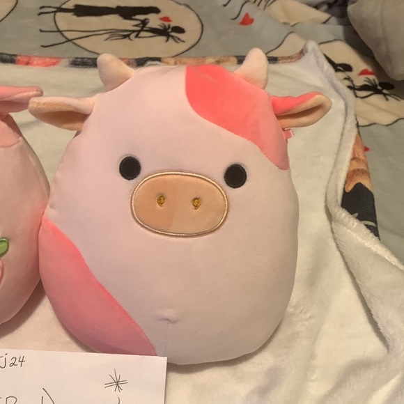 Squishmallows | Toys | Reshma Squishmallow Boxlunch Exclusive 8 Cow ...